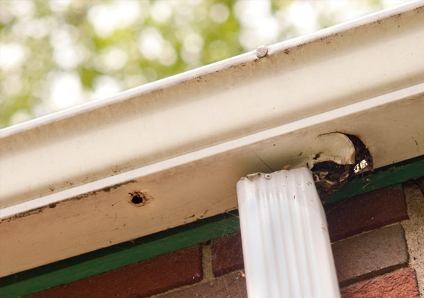 Repairing Rust, Holes, and Leaks in Your Gutters | Best Pick Reports