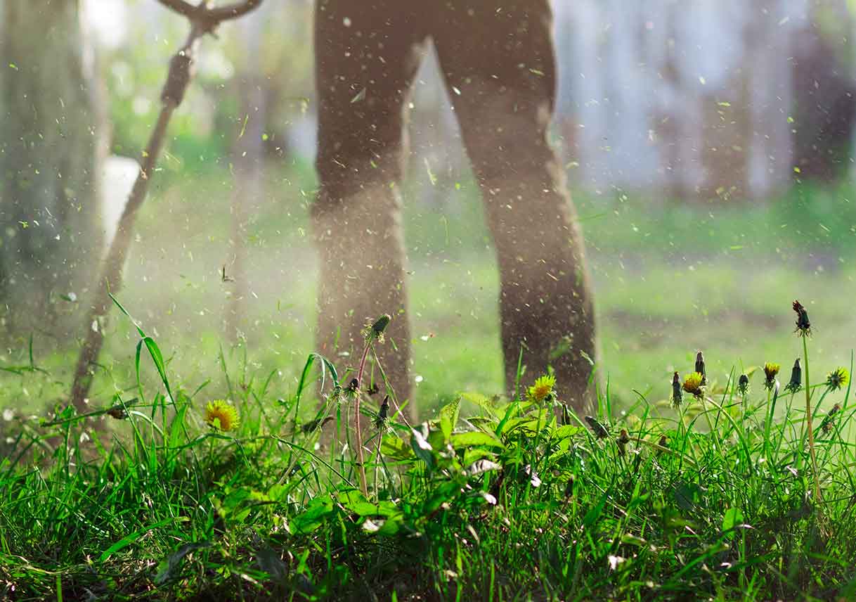 Essentials of Lawn Scalping | Best Pick Reports